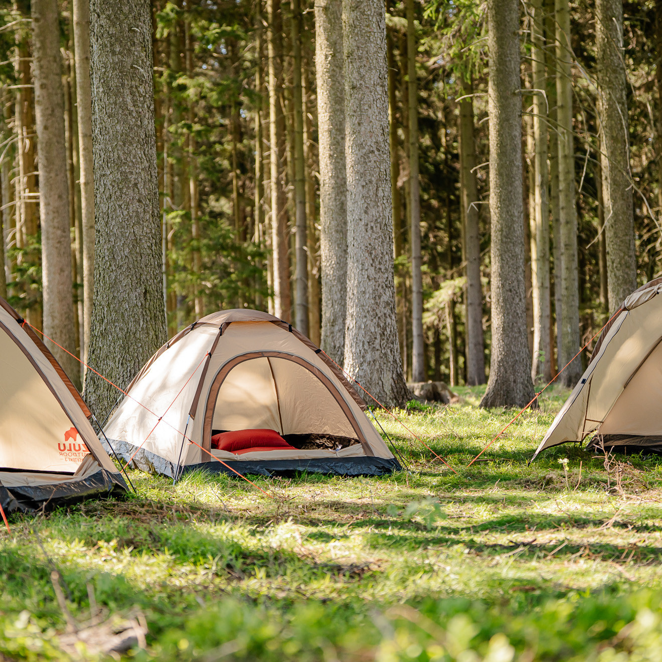 Šatori – 690 modela od 30 brendova, sve na skladištu! Sezona počinje ...